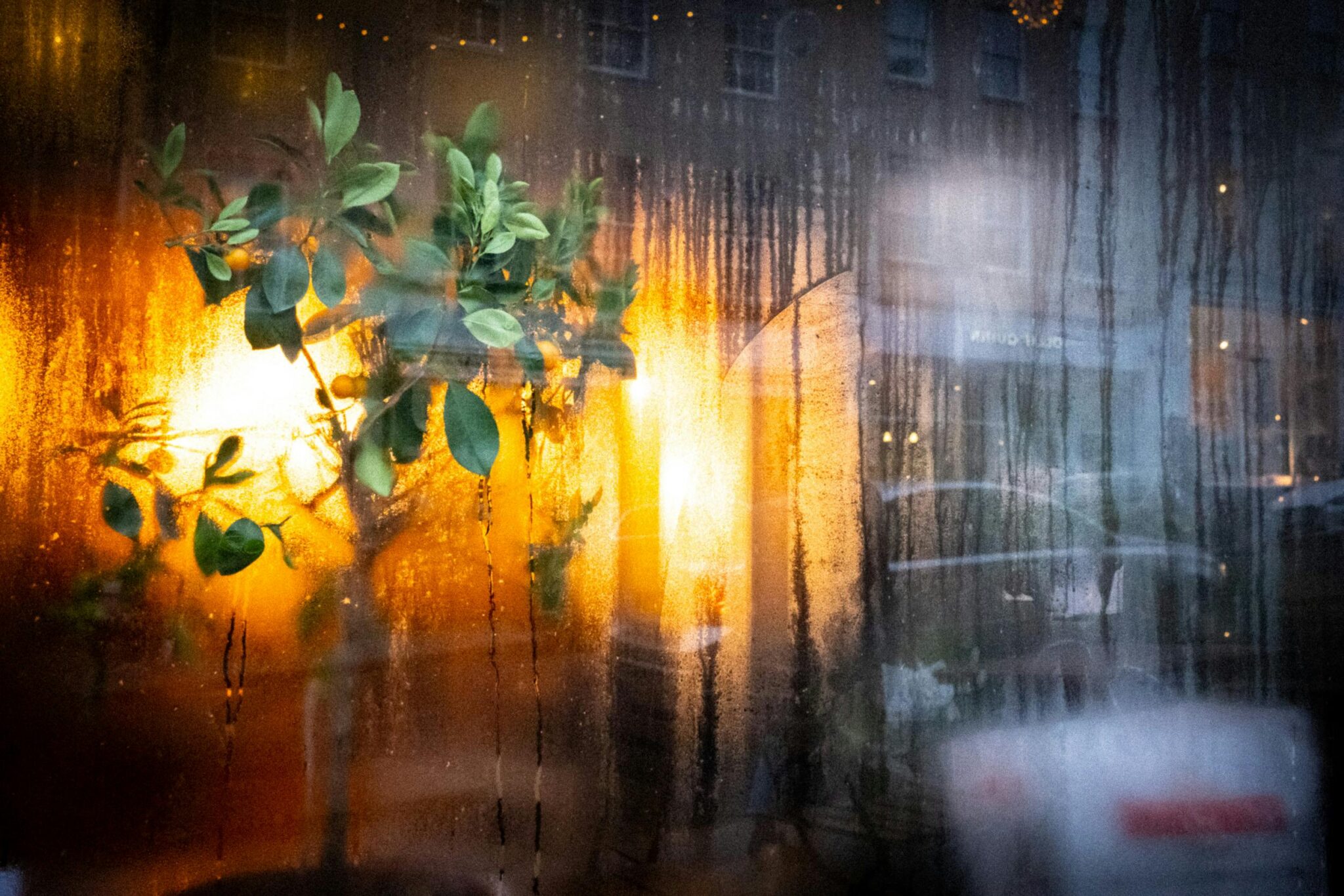 Understanding Acid Rain and Its Effects on Our Changing Climate ...
